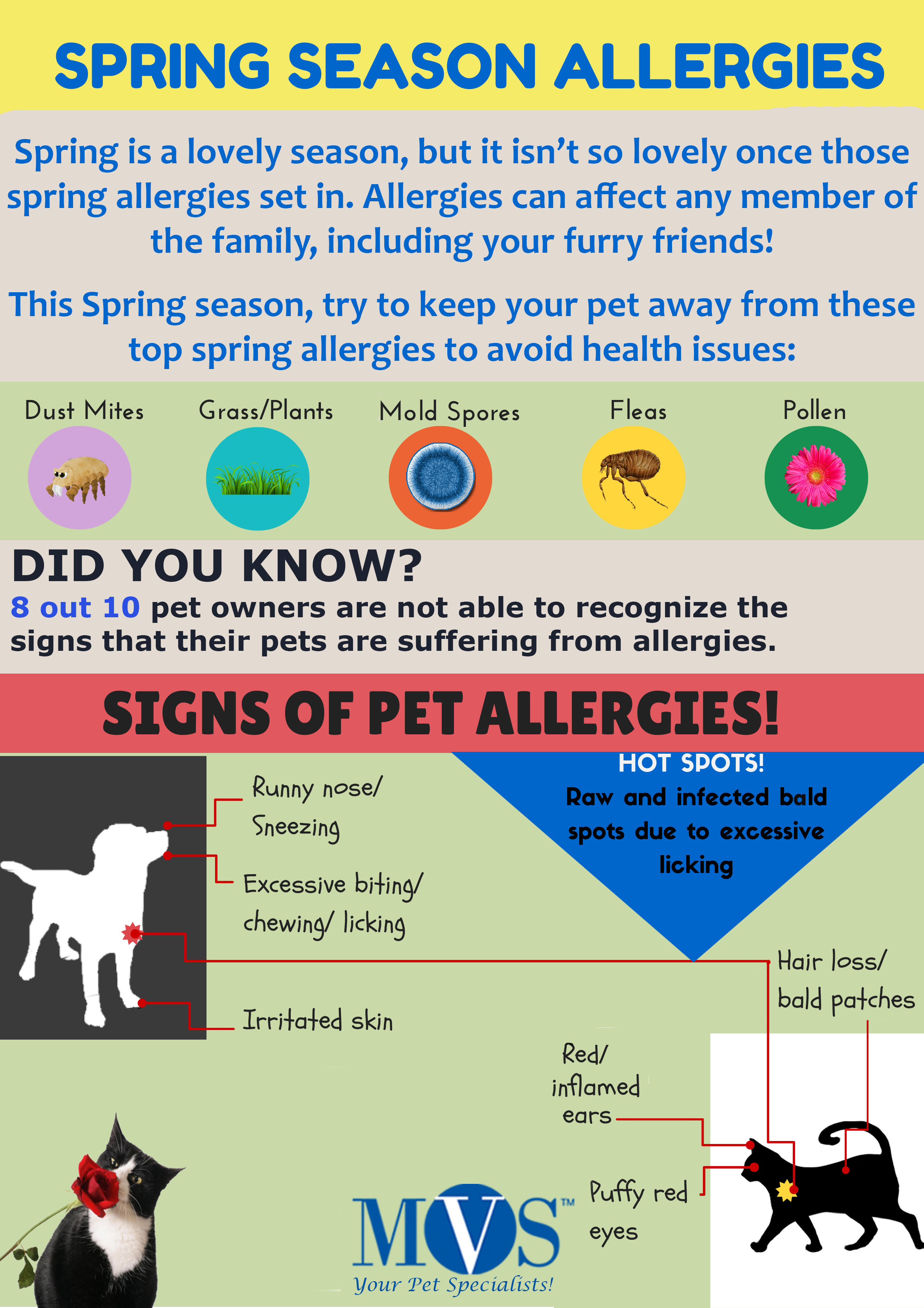 Spring Allergies | MVS Hospital